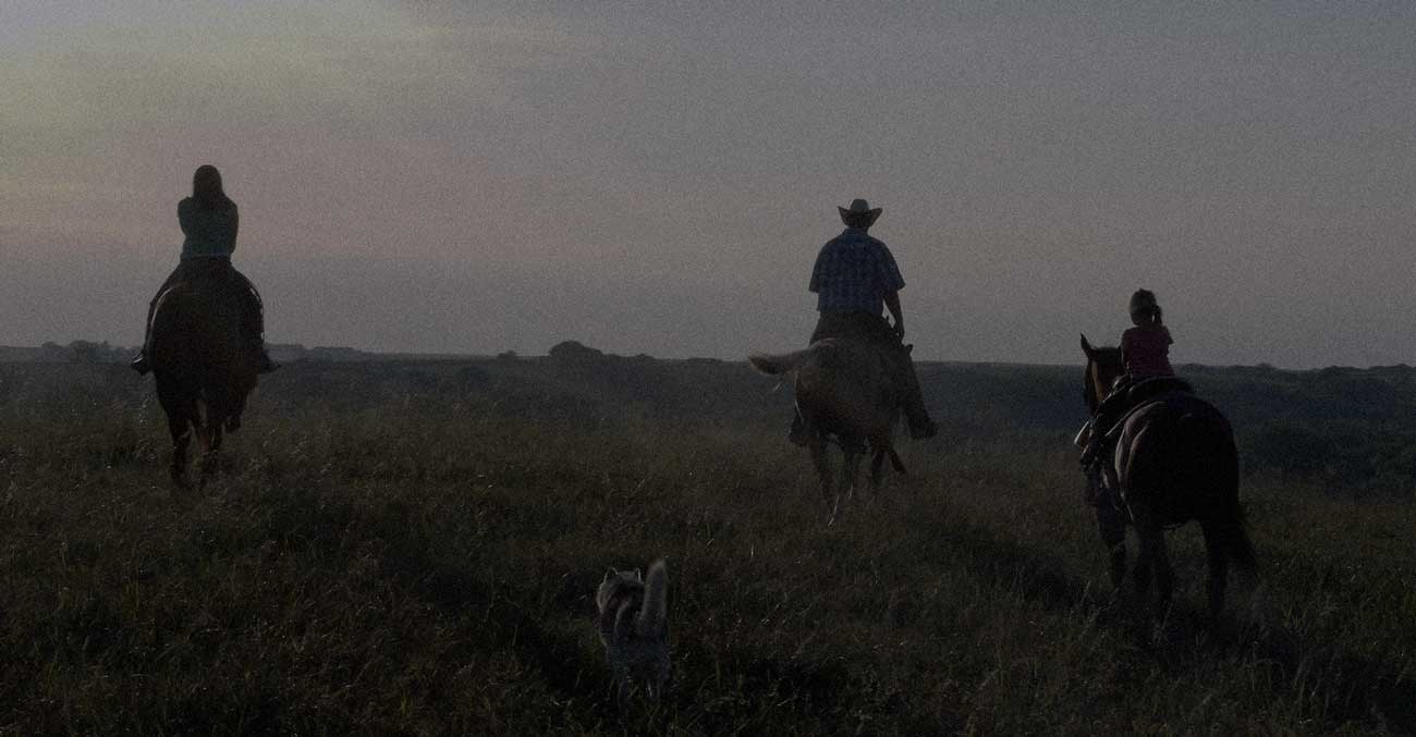 Beef - It's What's For Dinner