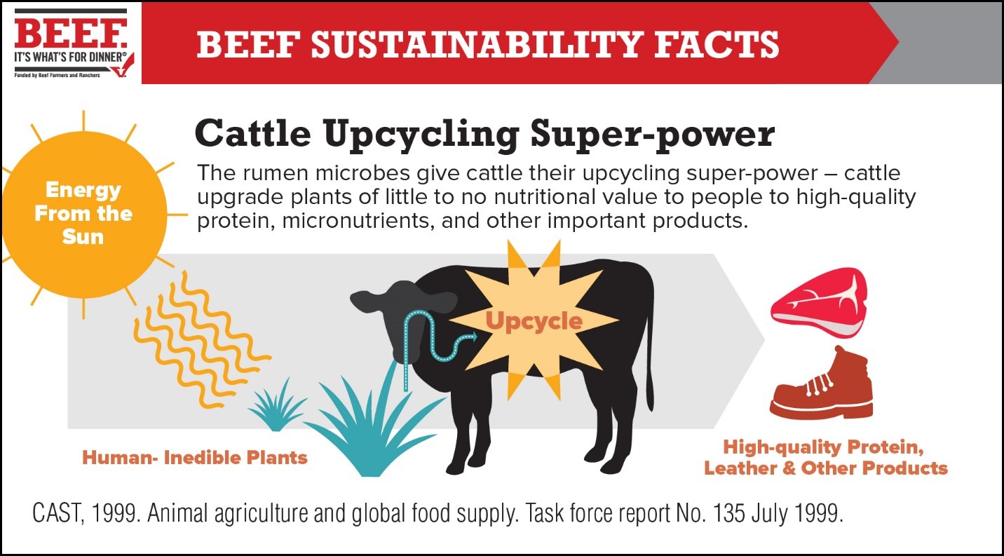 Beef In a Sustainable Diet