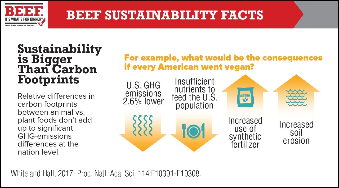 Beef In a Sustainable Diet
