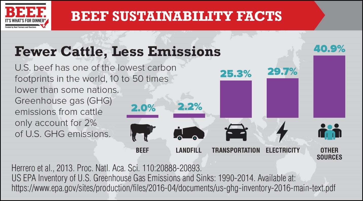 Beef In a Sustainable Diet