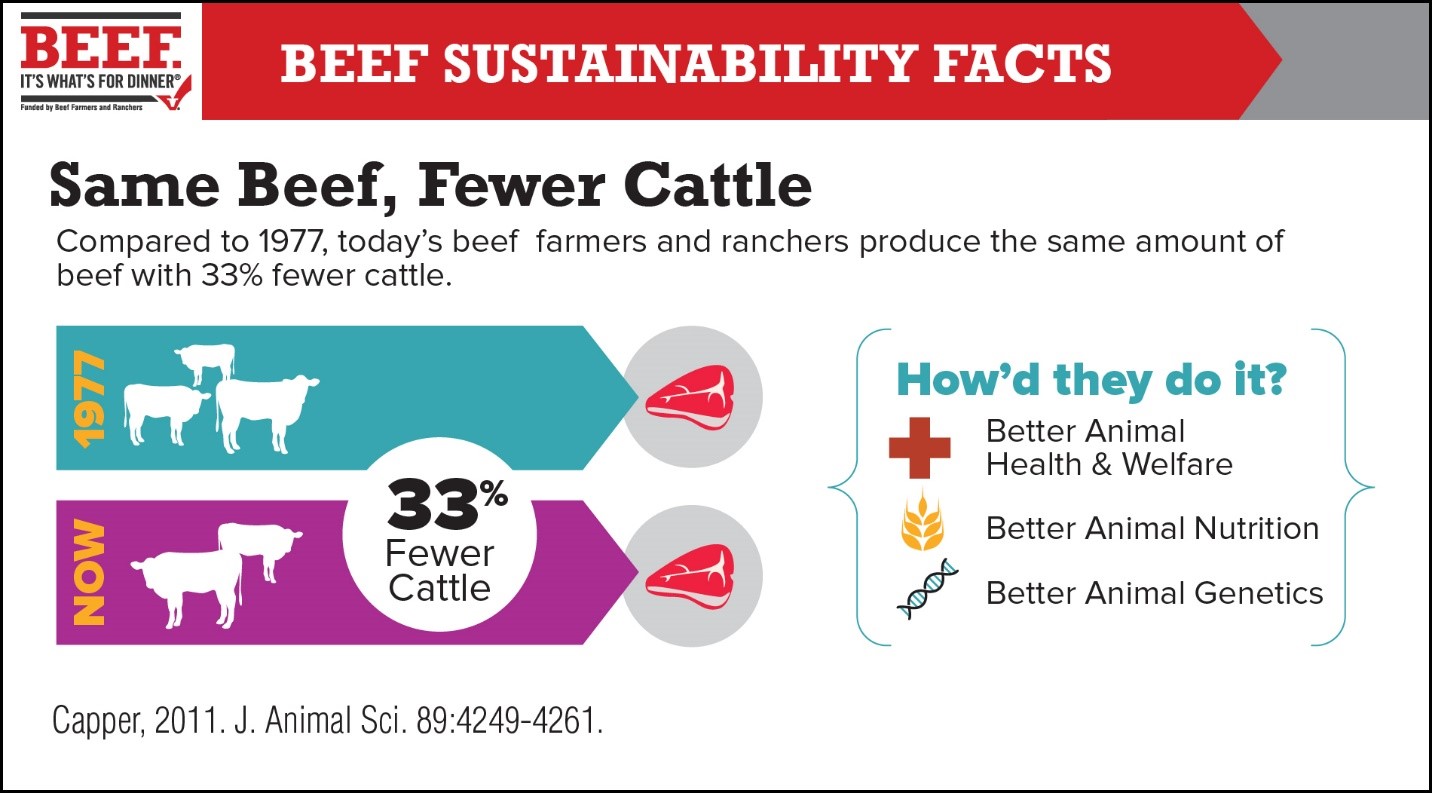 Beef In a Sustainable Diet